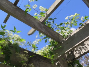 Ted Loder Prayer – A Pastor's Heart