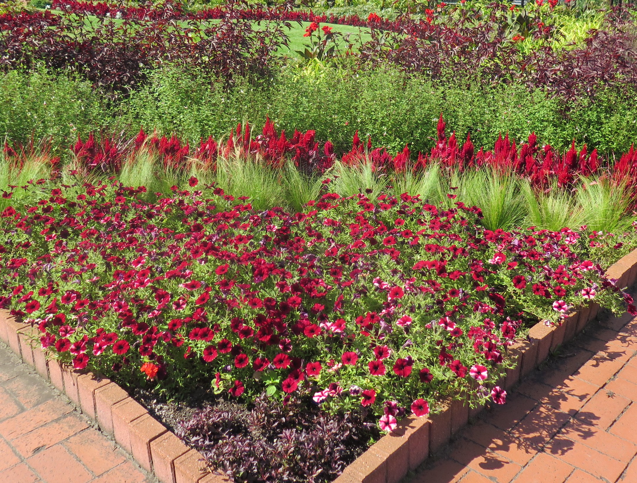 The Lemon Car – A Pastor's Heart