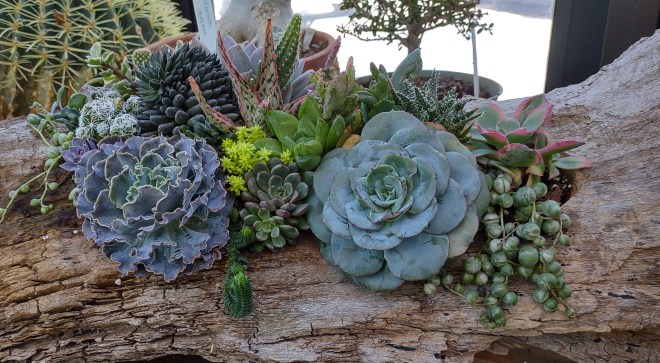 Ted Loder – Help Me Believe in New Beginnings – A Pastor's Heart